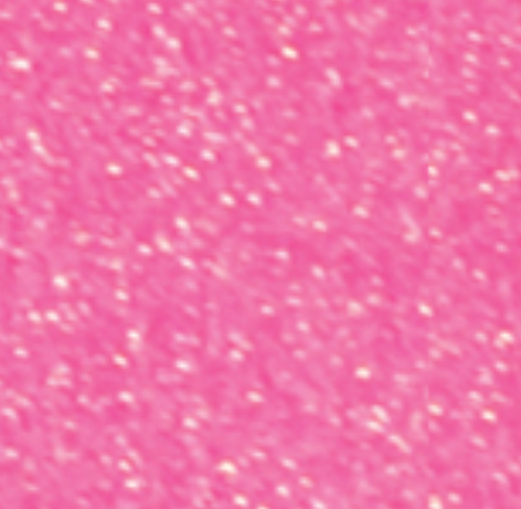 GLITTER NEON PINK | Vinyl Tyme
